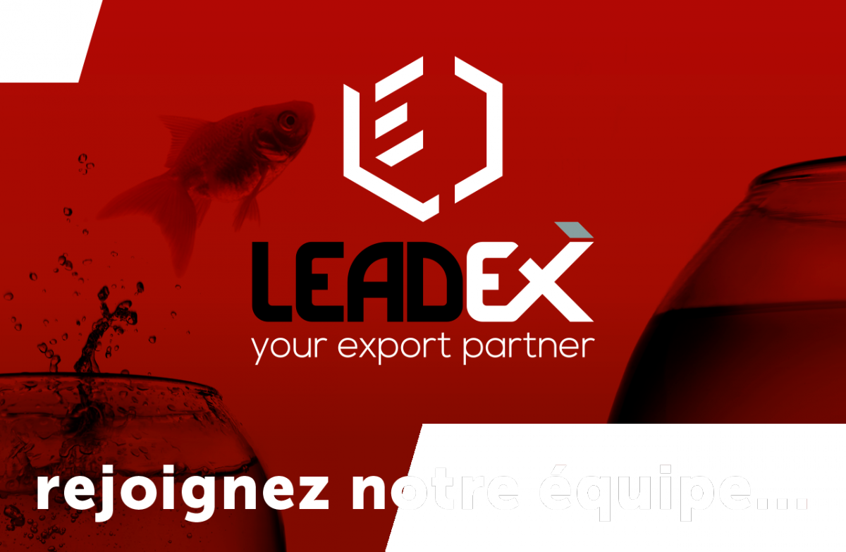 LEADEX recrute – Leadex